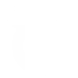 Testimonials | Northside Collision | Syracuse NY